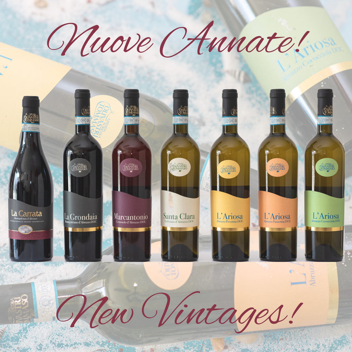 Nuove annte disponibili! – Shop Vini Olivastri